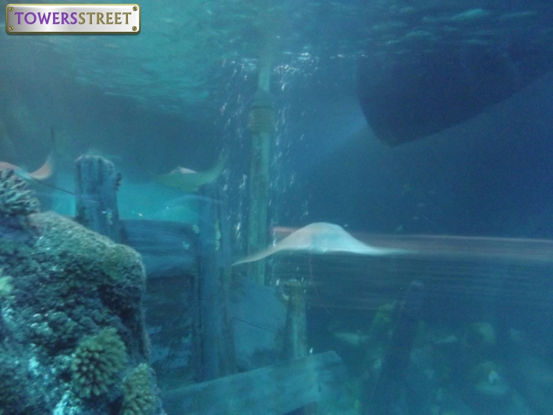 Mutiny Bay - Your premier Alton Towers guide