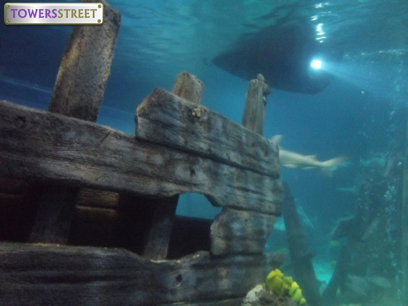 Mutiny Bay - Your premier Alton Towers guide